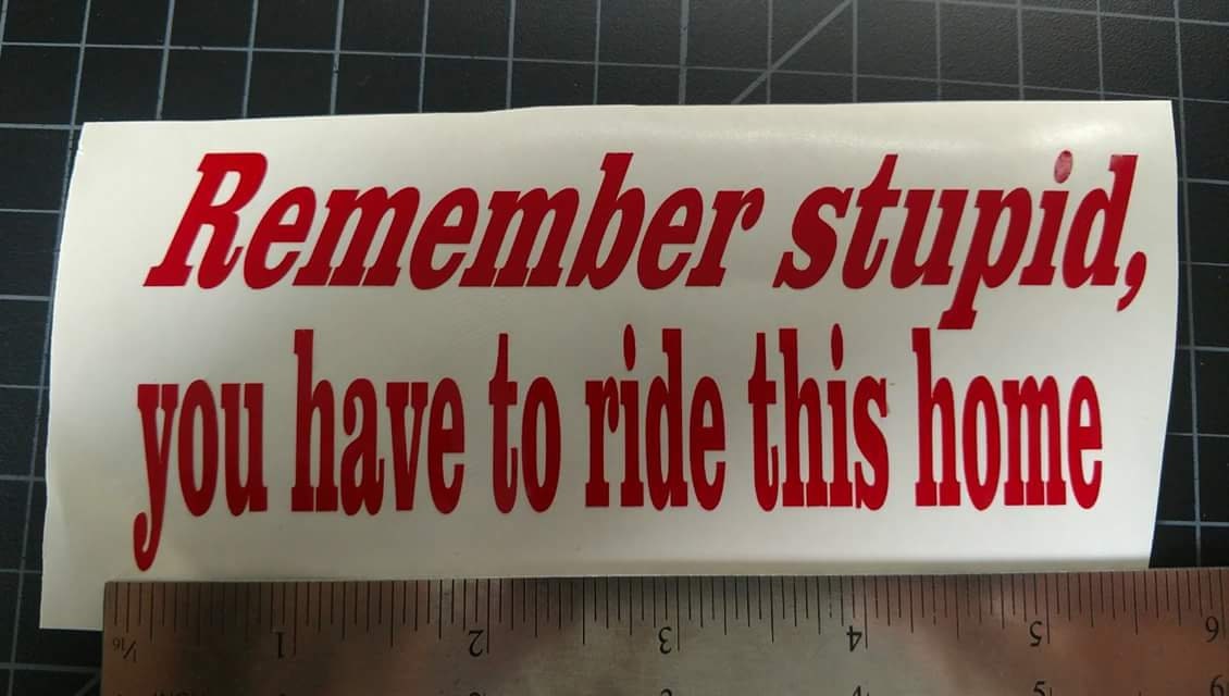 Remember Stupid, You Have to Ride This Home - Vinyl Decal - Etsy