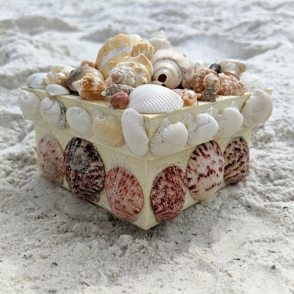 Seashell Box - Etsy