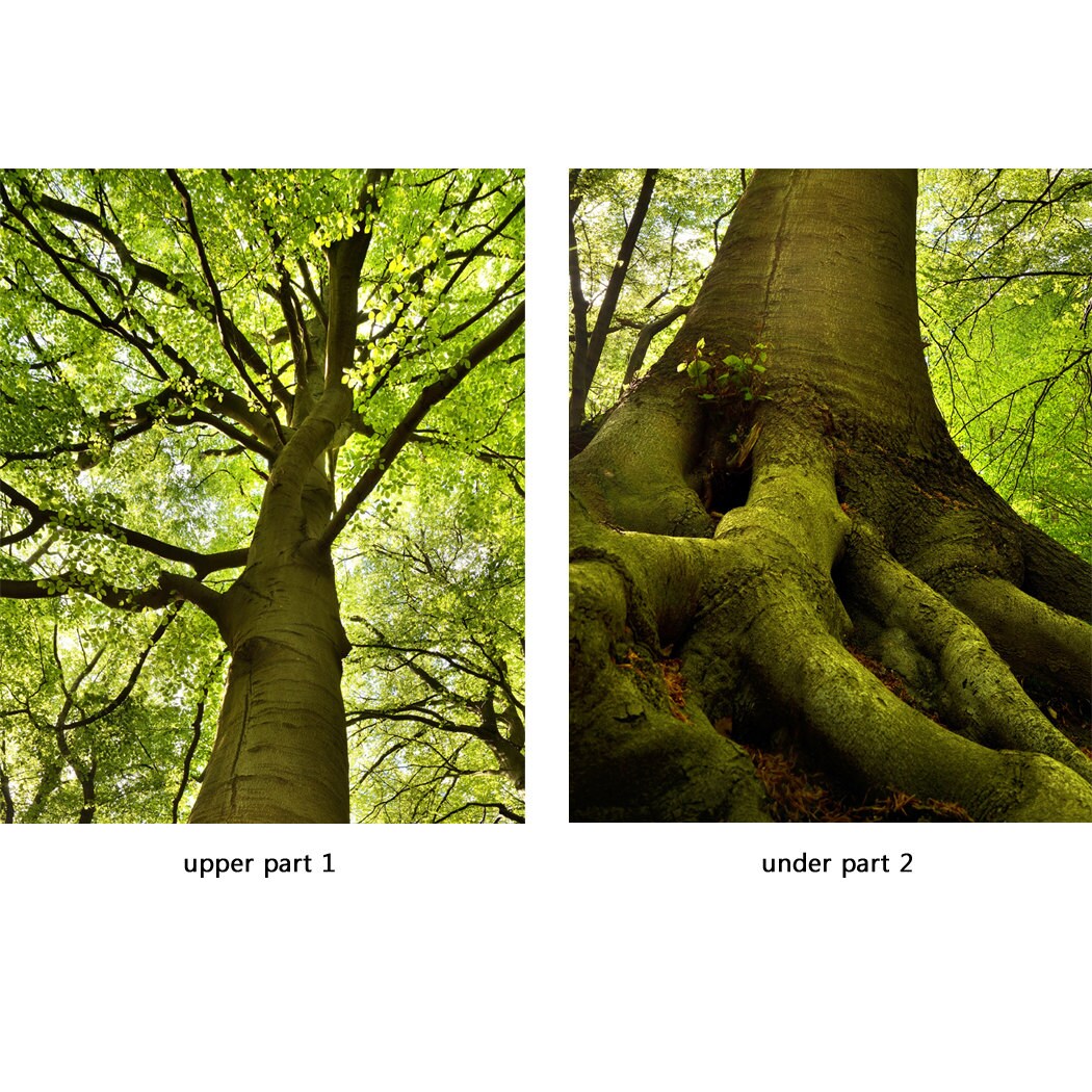 Door Wall Sticker Old Tree Peel & Stick Repositionable | Etsy