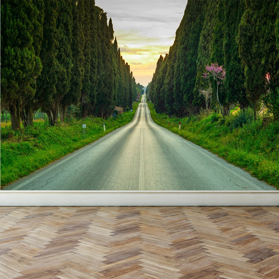 Wall Mural Evergreen Cypress Trees, Peel and Stick Repositionable ...