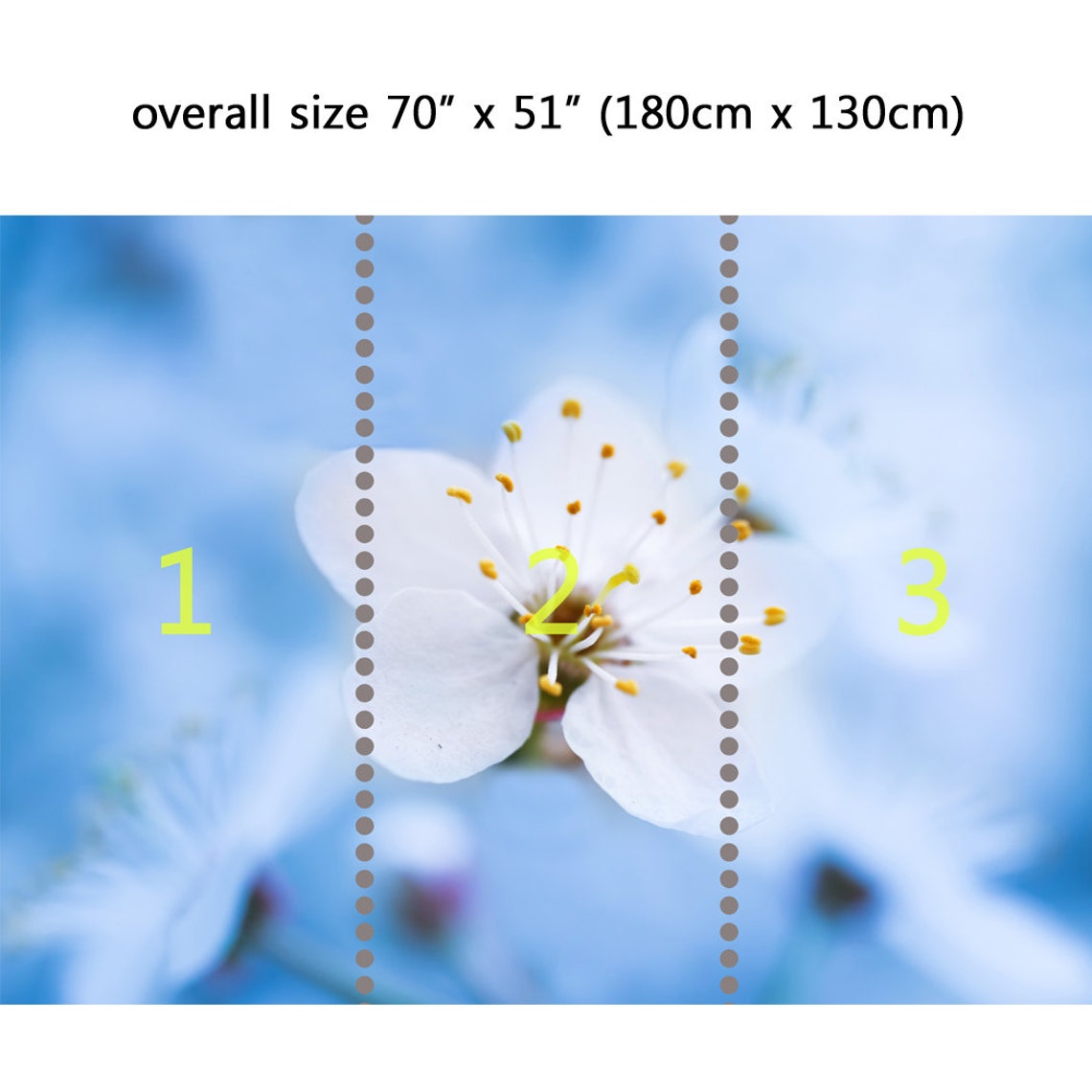 Wall Mural Flower Photography Spring Blossoming Peel and - Etsy