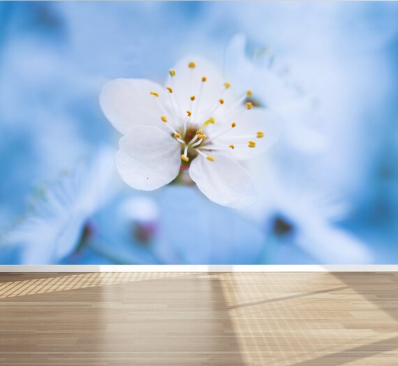 Wall Mural Flower Photography Spring Blossoming Peel and | Etsy