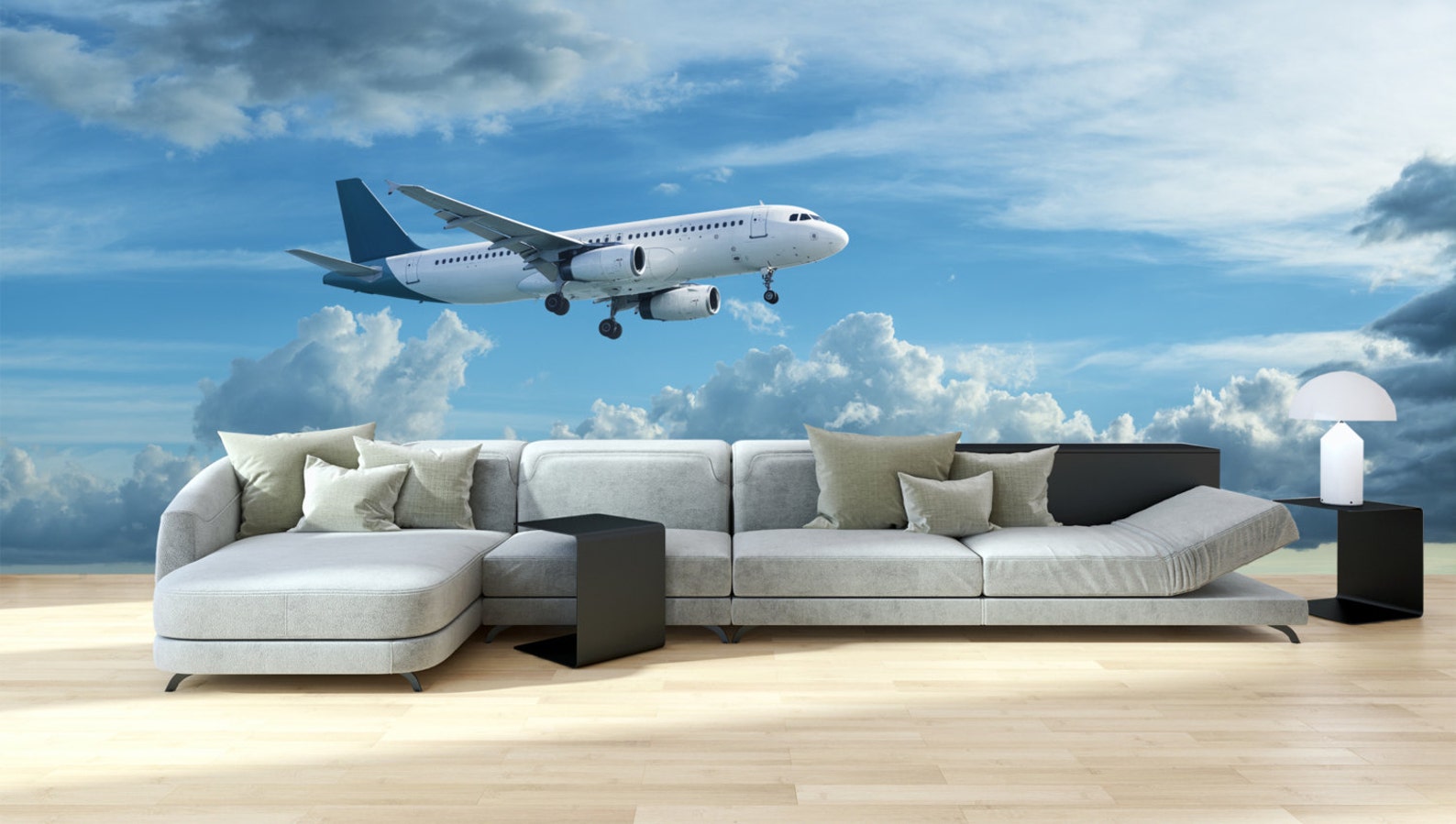 Wall Mural Airplane is Flying Panoramic View Peel and - Etsy