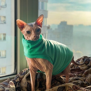 PDF Sewing Pattern Clothes for Cats, DIY Clothes for Sphynx, Two Sizes ...