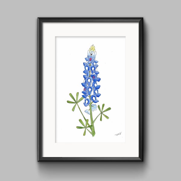Bluebonnet Art - Etsy