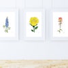 Holy Family Note Cards, Sacred Heart of Jesus, Immaculate Heart of Mary ...