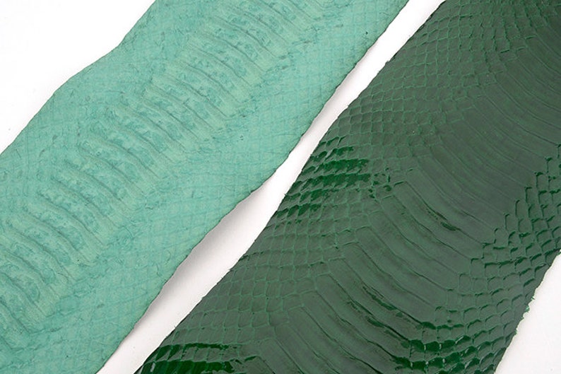 Grossy Green Water Snake Skin genuine Leather for | Etsy