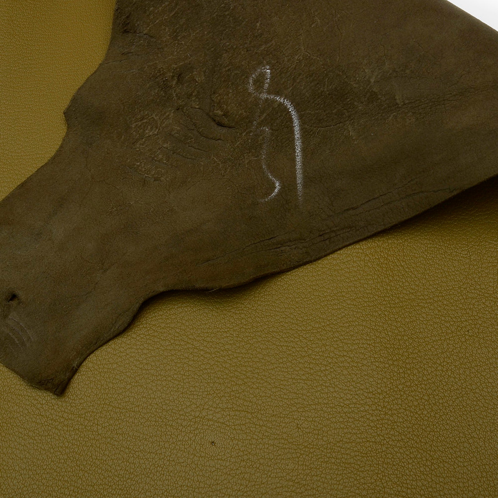 GOATSKIN Leather [olive] 4~5 Sq Ft, Finished Goatskin Leather Leather ...