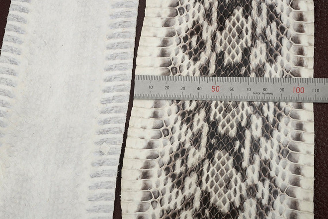 Grossy Natural - Water Snake Skin (genuine Leather) for Bookbinding ...