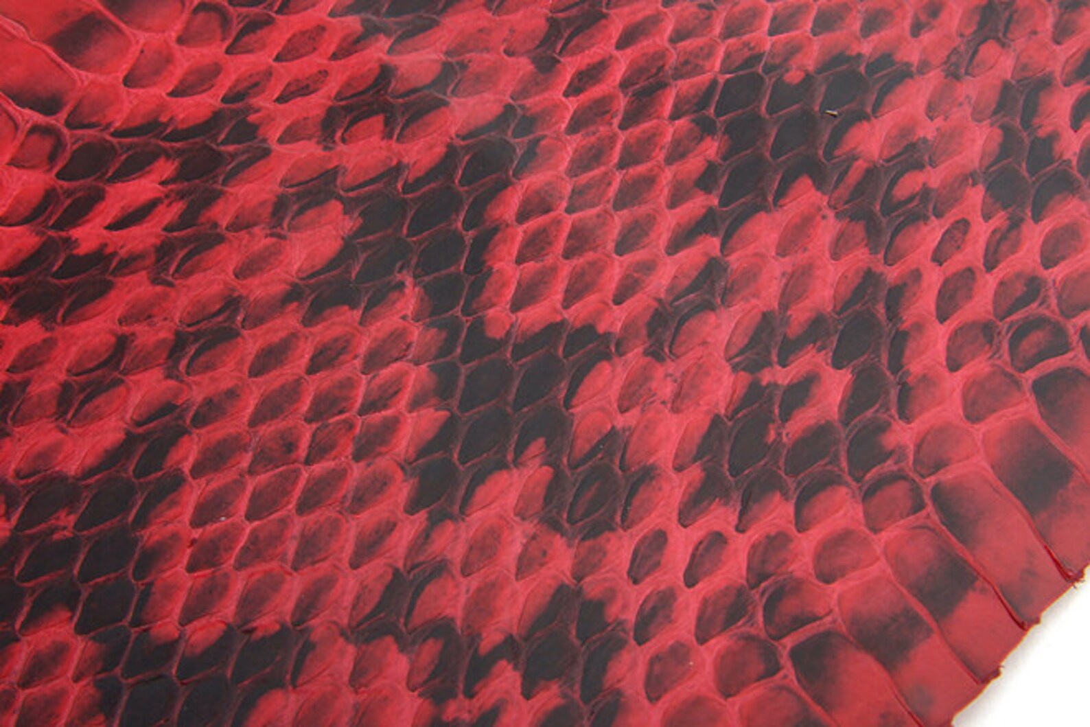 Grossy Natural Red Water Snake Skin genuine Leather for - Etsy
