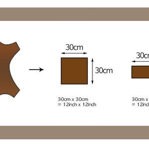 Leather With OPLE Pattern, 6in X 12in or 12in X 12in Size, Cow Hides, 2 ...
