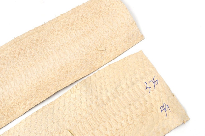 Matte Natural Water Snake Skin genuine Leather for - Etsy