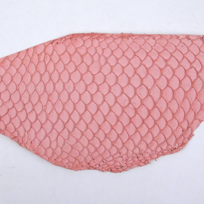 Green Fish Leather - Etsy