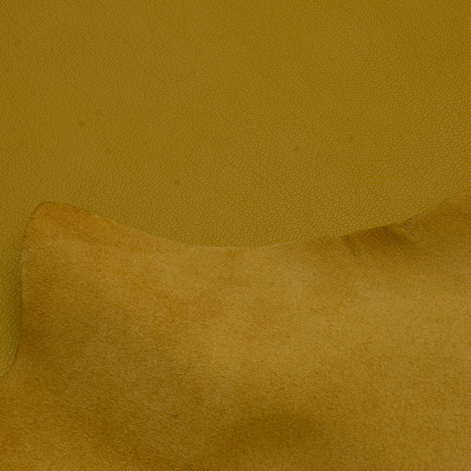 GOATSKIN Leather mustard 45 Sq Ft Finished Goatskin - Etsy