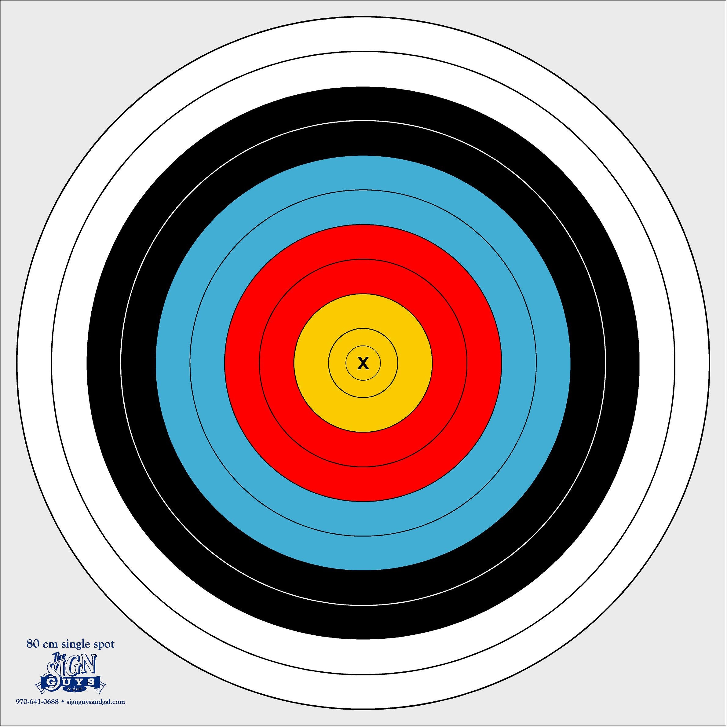 Cible de tir à l'arc en vinyle de 80 cm : entraînement en extérieur ...