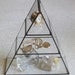 9 and 10 Tall Glass Pyramid Display Shelf Show off Those Treasures and ...