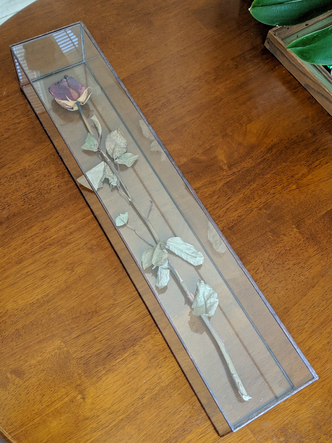 22x4x3" Tall THE ROSE Long Clear Glass Display Box for the Special Rose ...