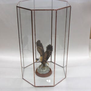 9 or 10 Diameter X 12 Tall Octagon Glass Display Case for Special ...