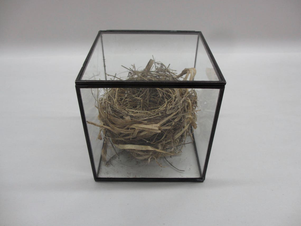 6 or 7 Cube Display Boxes With or Without a - Etsy