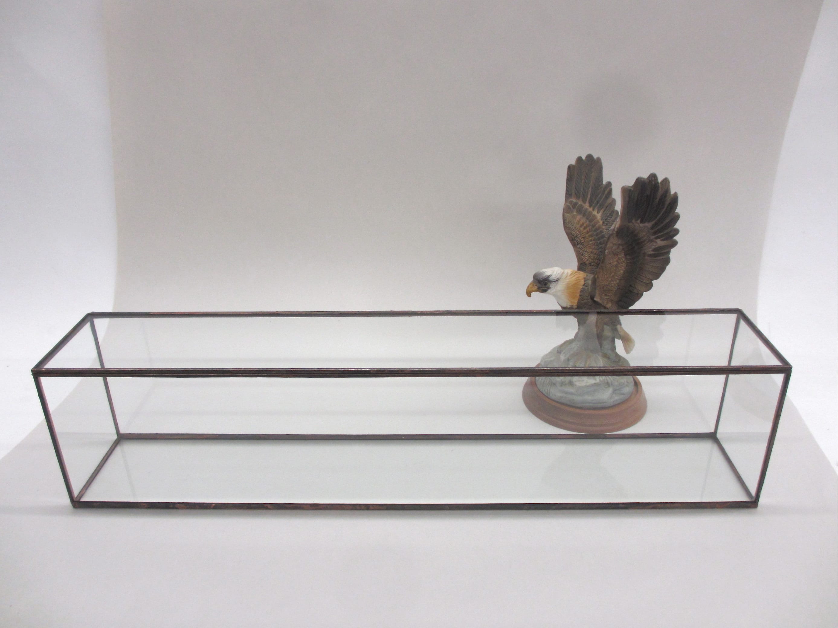 LONG SKINNY Clear Glass Display Box, and Similar Sizes - Hinged Top ...