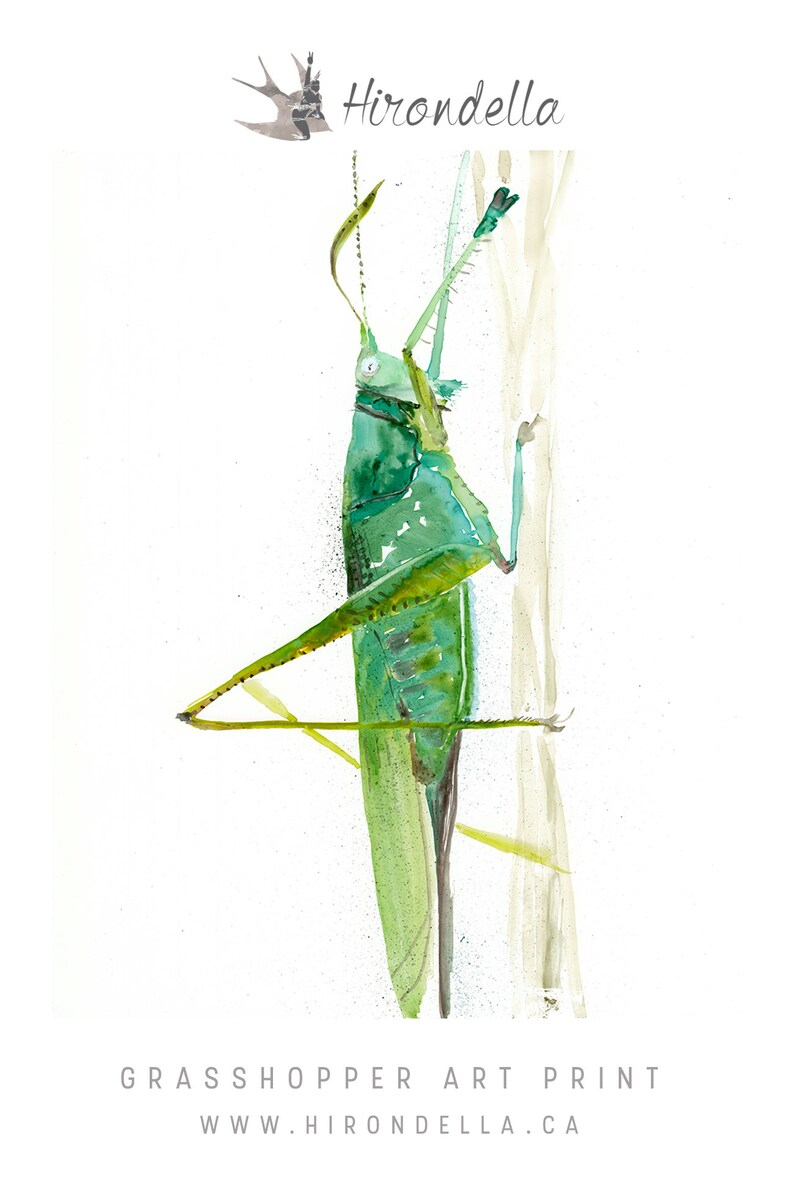 Grasshopper Painting Grasshopper Art Print Insect Nursery - Etsy