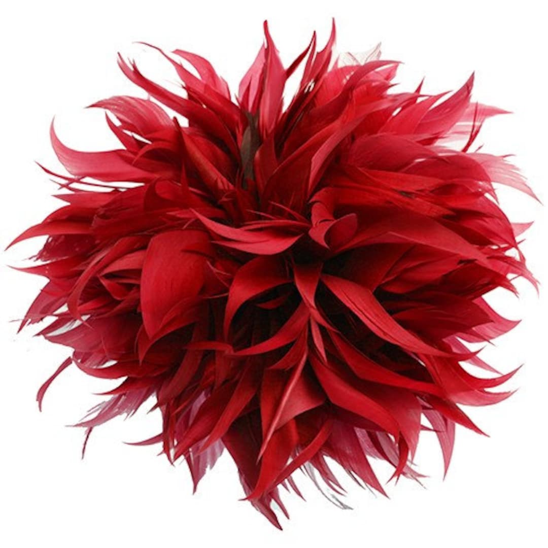 Feather Applique Multiple Colors - Etsy