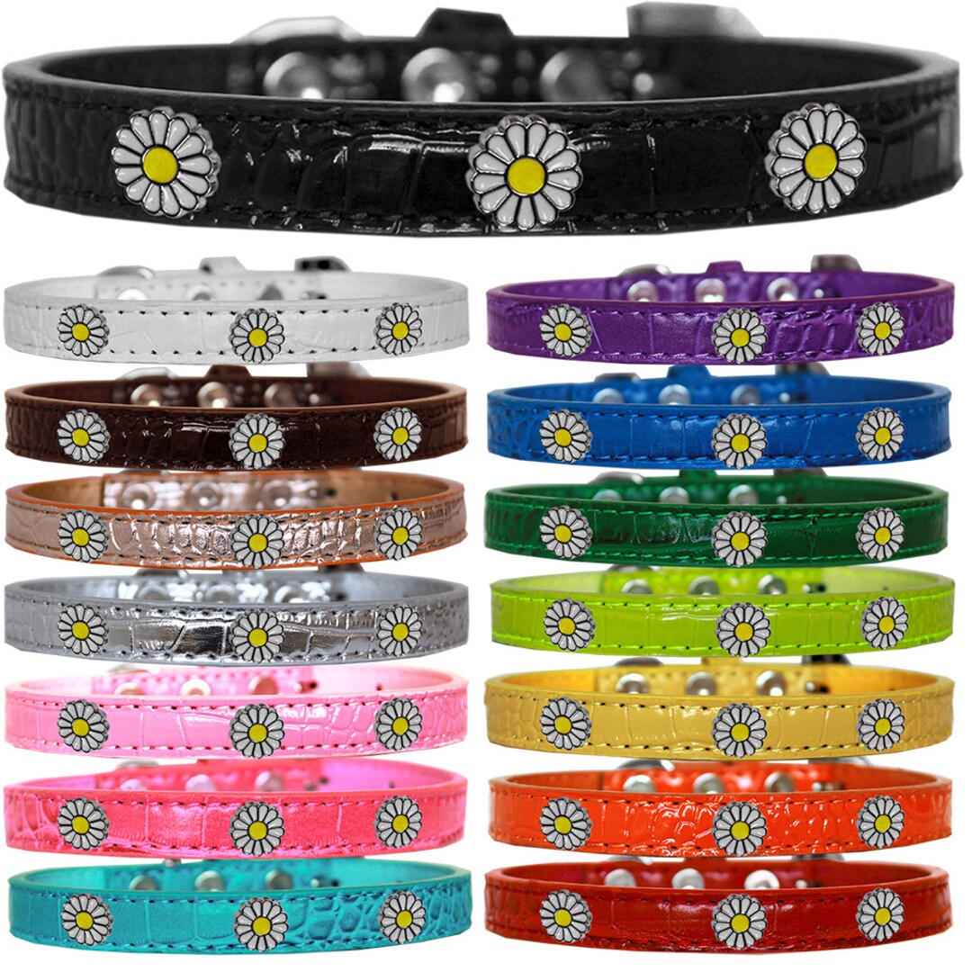 Dog, Puppy & Pet Designer Croc Widget Collar, white Daisy - Etsy