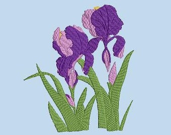 Iris Flower Embroidery Design. Machine Embroidery Design. Iris - Etsy