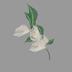 Lily Machine Embroidery Design - Etsy