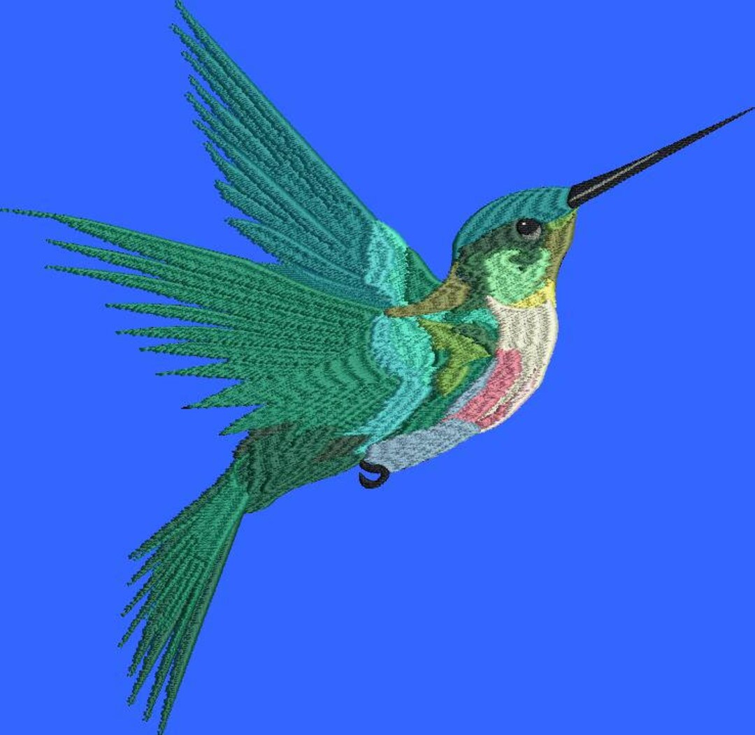 Hummingbird Machine Embroidery Design - Etsy