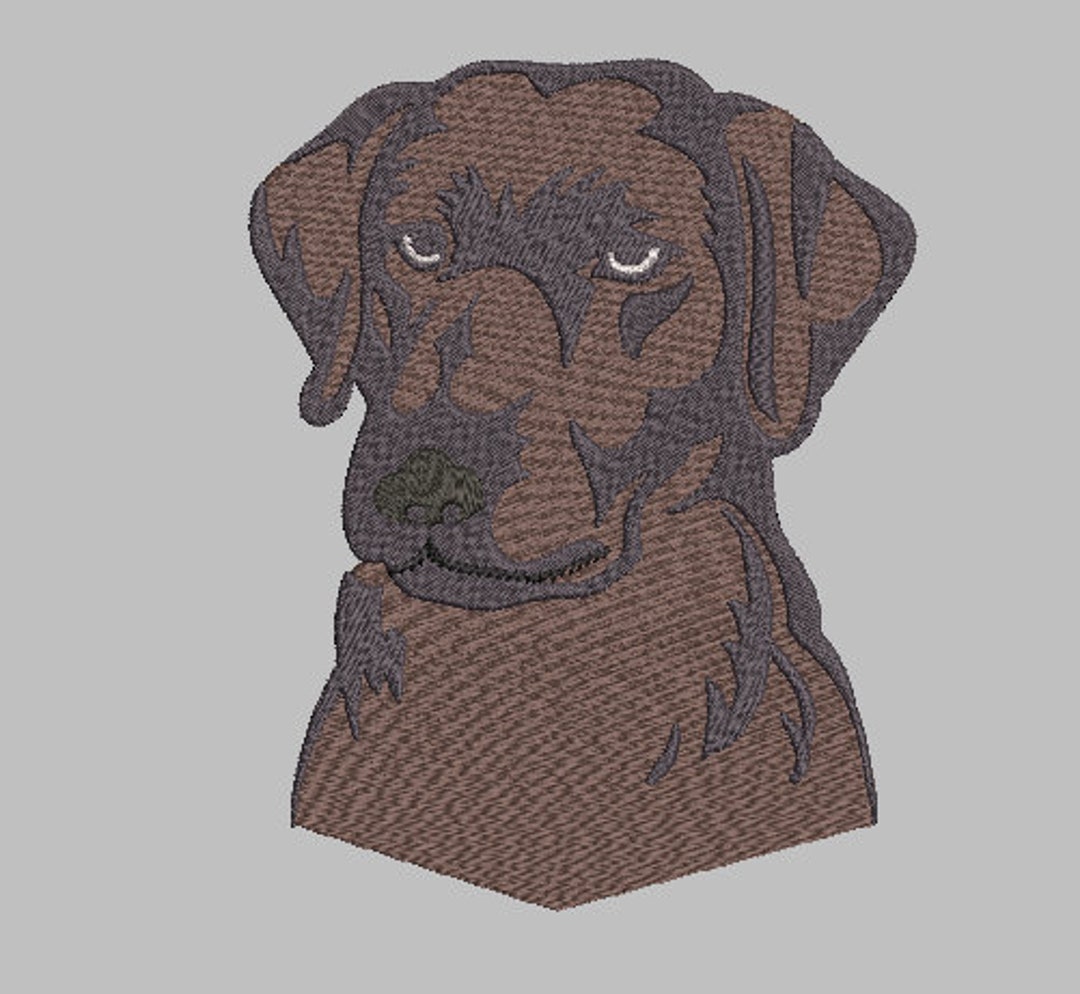 Chocolate Lab Machine Embroidery Design - Etsy