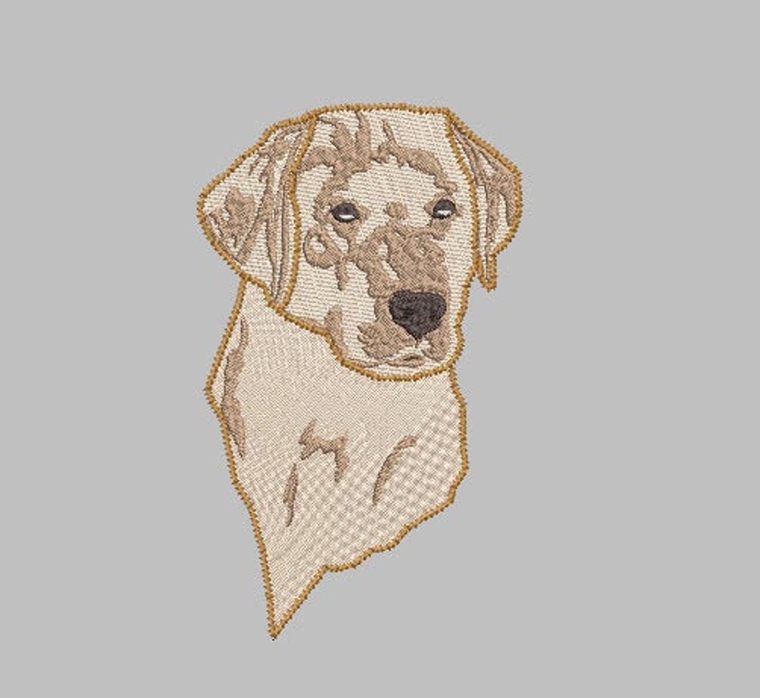 Yellow Lab Machine Embroidery Design - Etsy