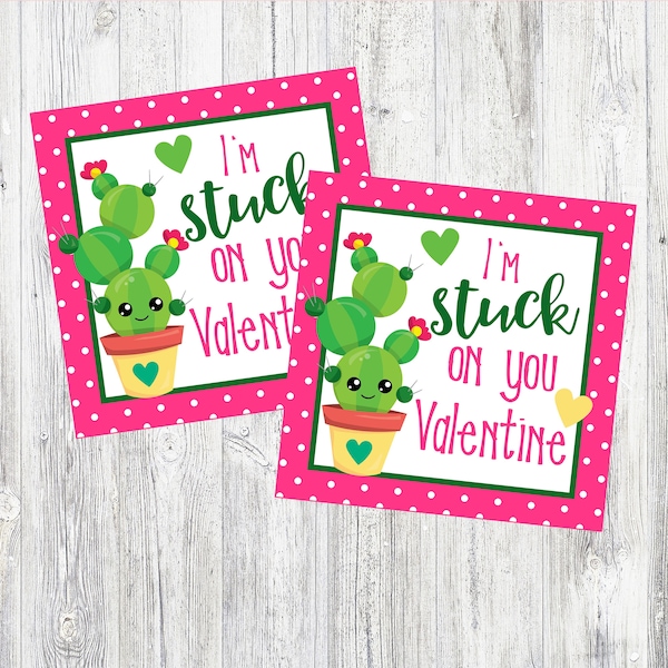 Stuck on You Cactus - Etsy