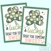 Shamrock Color Flash Cards. Perfect for Incorporating St. Patrick's Day ...