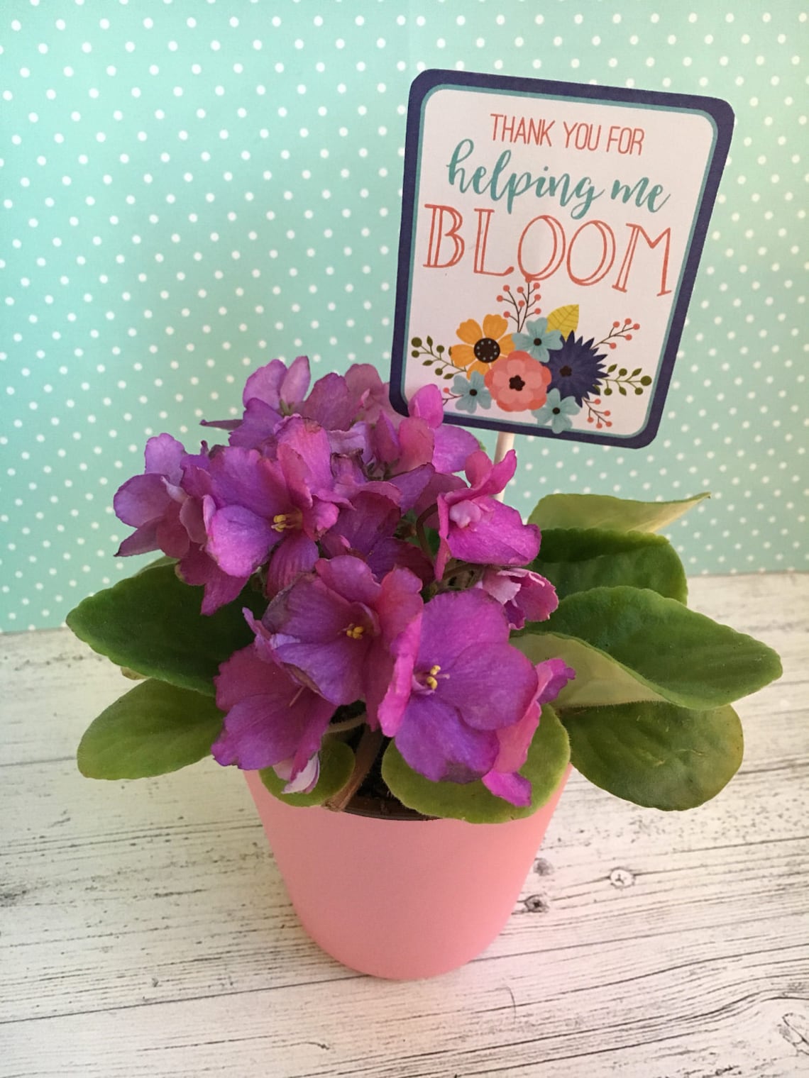 Thank You for Helping Me Bloom Tag for Teachers Appreciation - Etsy