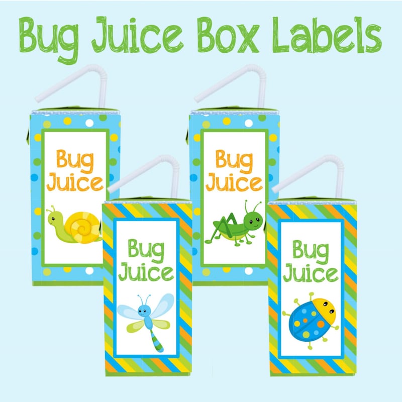 Bug Box - Etsy