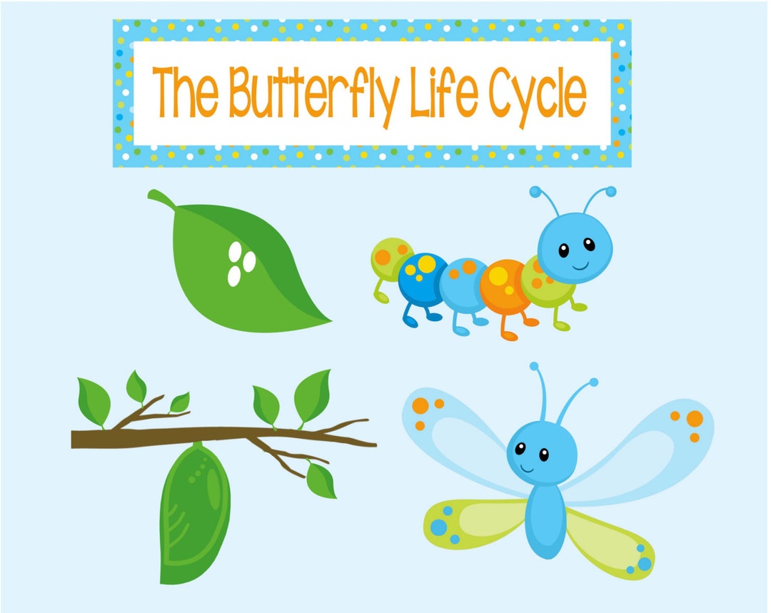 Butterfly Life Cycle Puppets. Perfect for Caterpillar & Butterfly ...