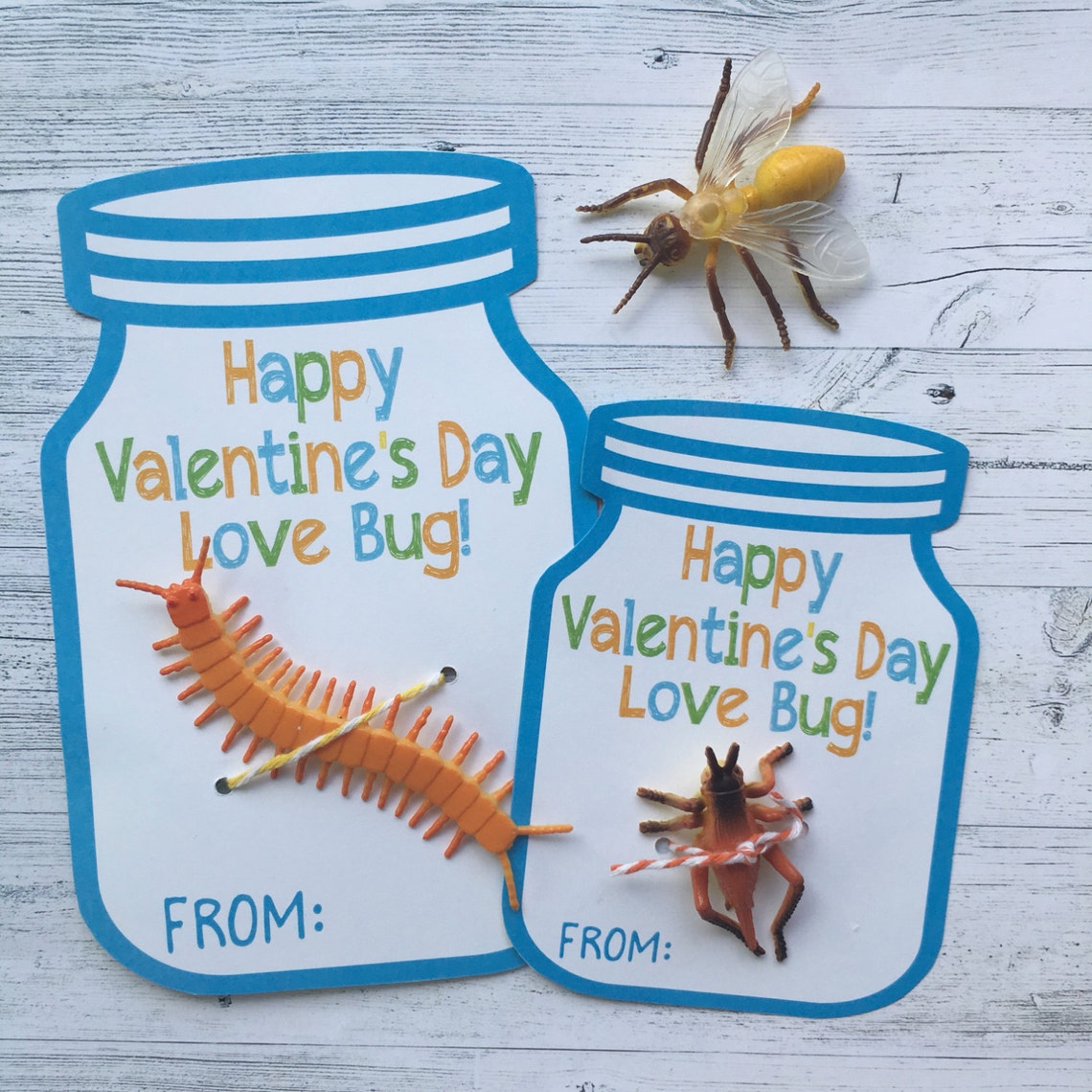 Love Bug Valentine's Day Cards. Love Bug Jar Valentine | Etsy