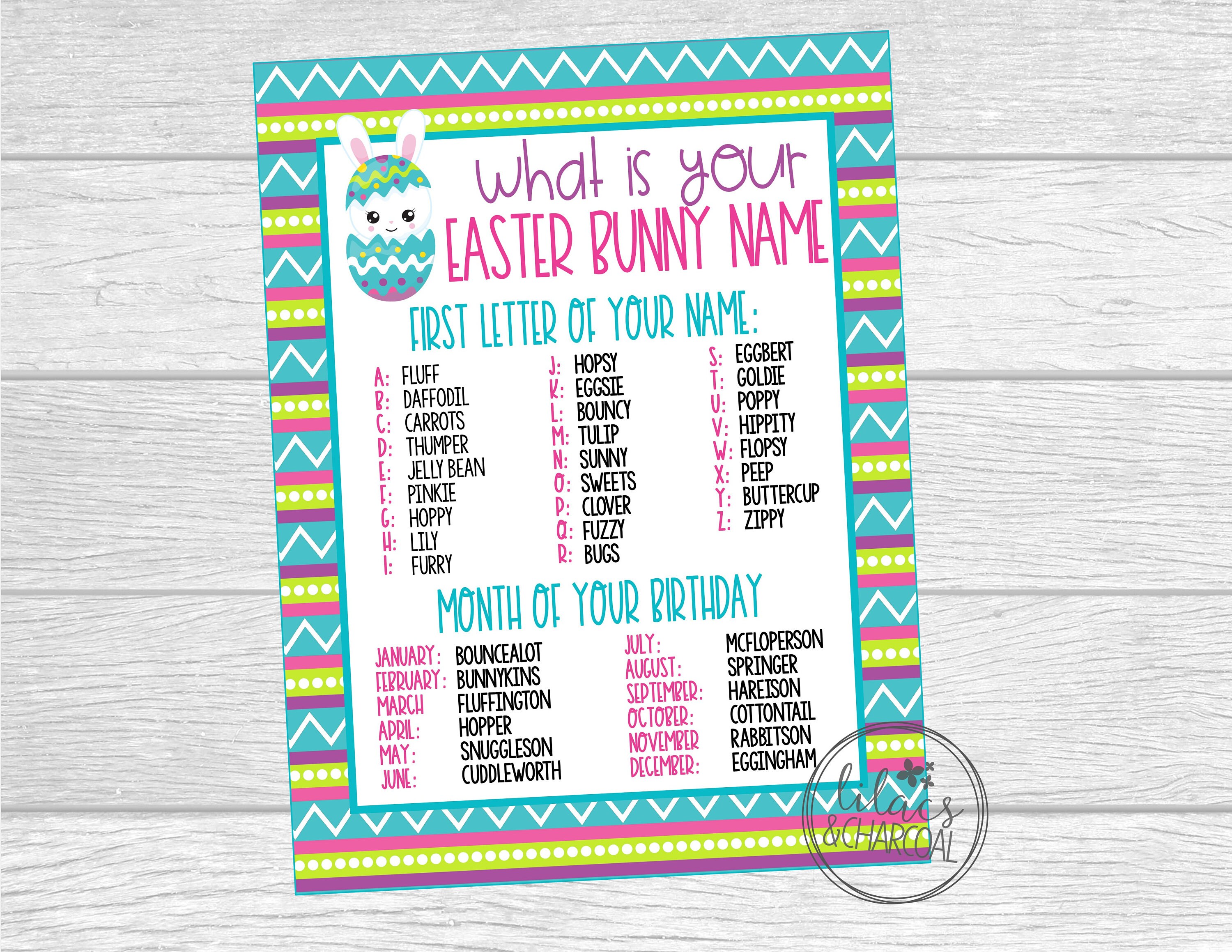 Printable Easter Bunny Name Game. What is Your Easter Bunny - Etsy