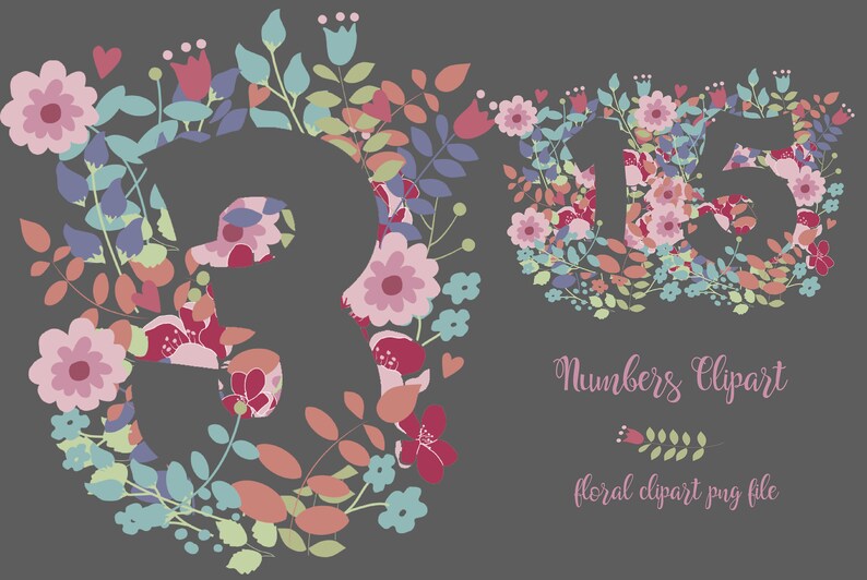 Flowers Clipart Numbers Clipart - Etsy