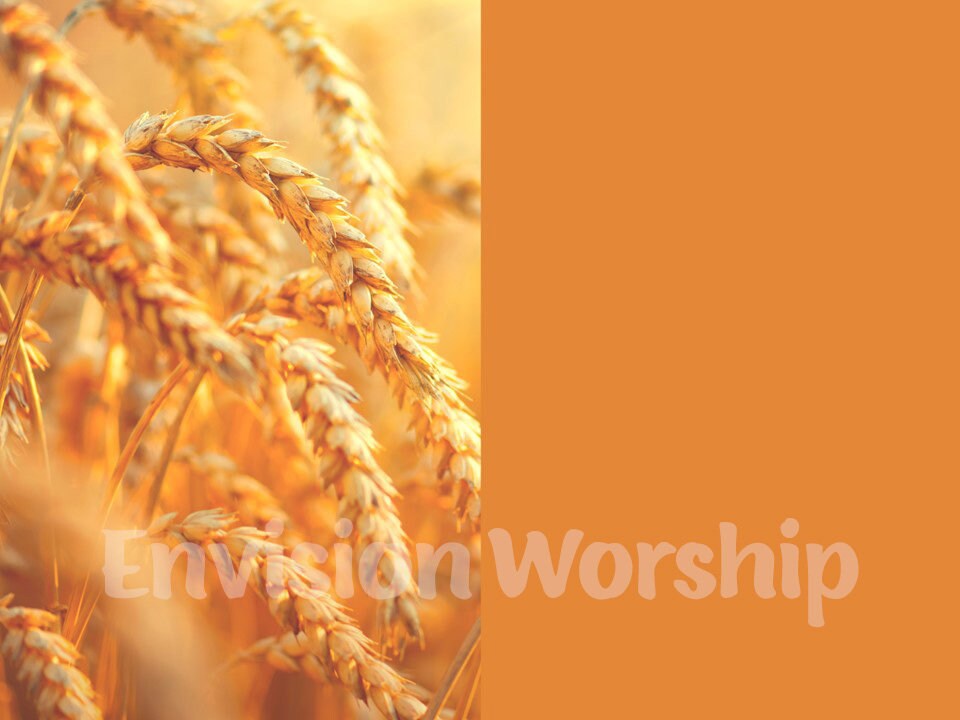 Harvest Wheat Church Powerpoint Standard Size - Etsy
