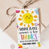 Summer Bubbles of Fun Tags End of School Tag Bubble Favor Tag Classmate ...