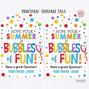 Summer Bubbles of Fun Tags End of School Tag Bubble Favor Tag Classmate ...