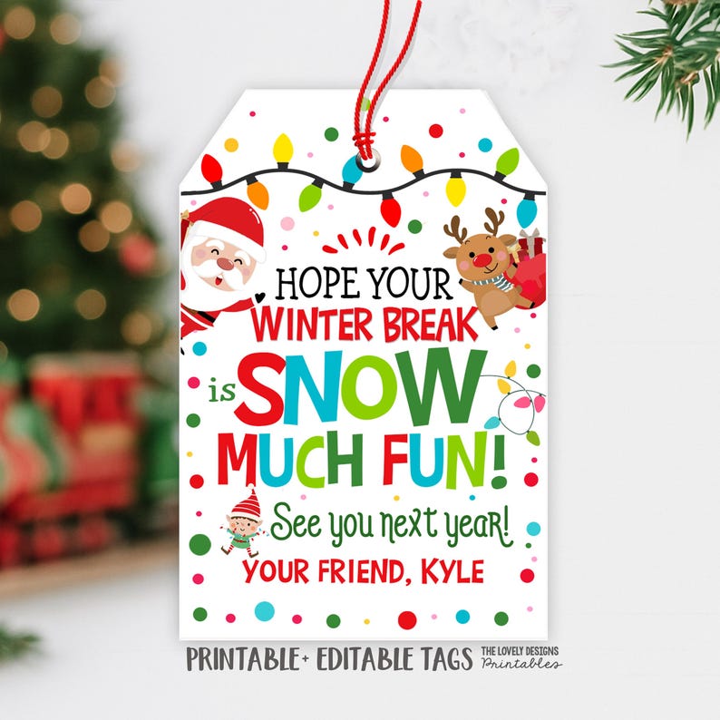 Hope Your Winter Break is Snow Much Fun Tag From Teacher Student ...