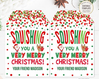 Squishing You a Merry Christmas Squishies Holiday Gift Squishy Toy ...