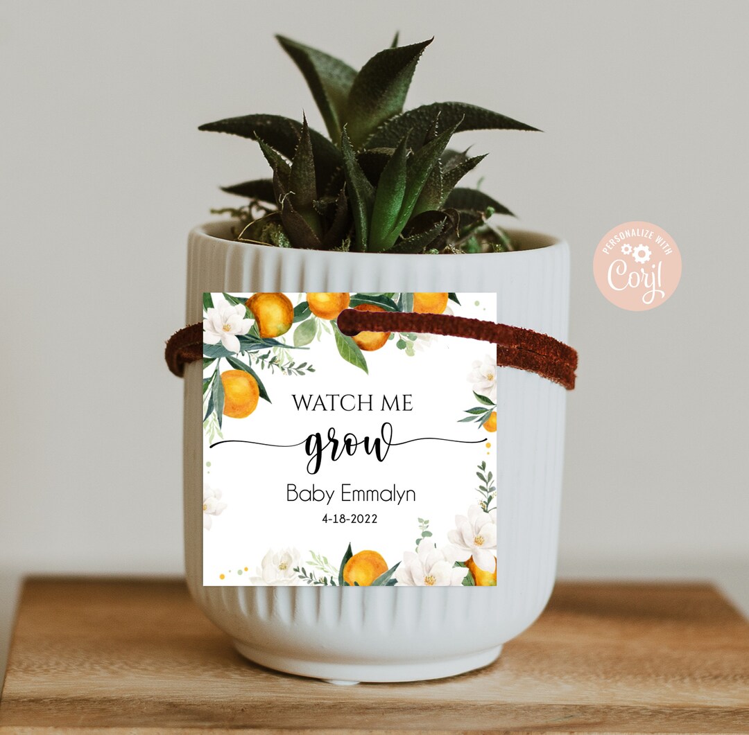 Editable Watch Me Grow Tags Little Cutie Baby Shower Bridal Orange ...