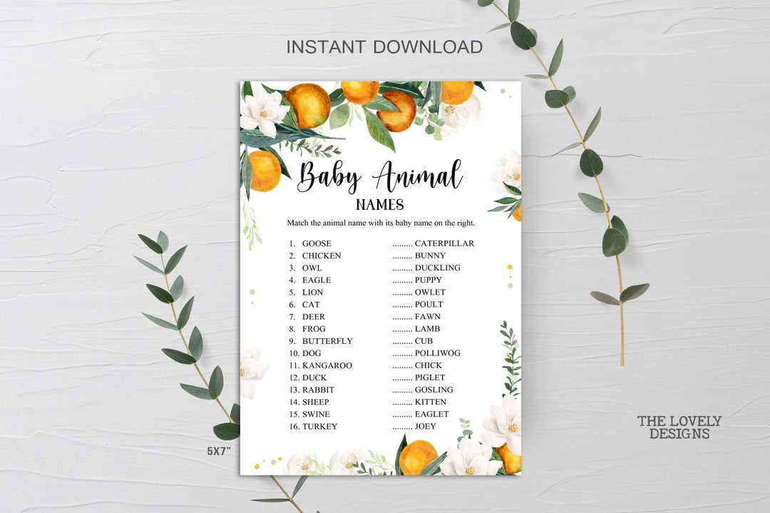 Orange Baby Animals Names Game Little Cutie Baby Shower Orange ...