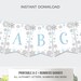 Winter Banner A-Z Alphabet Numbers Winter Wonderland Bunting Banner ...