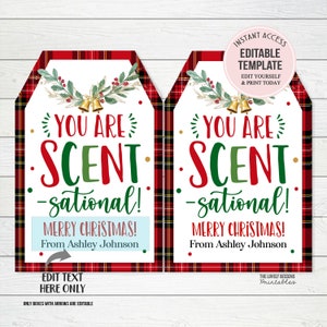 You Are Scent-sational Tag Christmas Gift Potpourri Candle Handmade ...