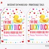 Editable Rubber Duck Valentine's Day Gift Tags Valentine Lucky Duck Tag ...